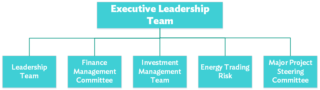 Governance framework